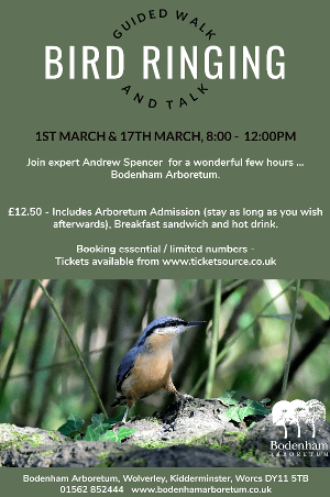 Bird Ringing | Data Thistle