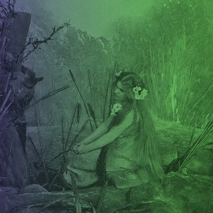 Rusalka Revealed: Dvořák’s Operatic Masterpiece | Data Thistle