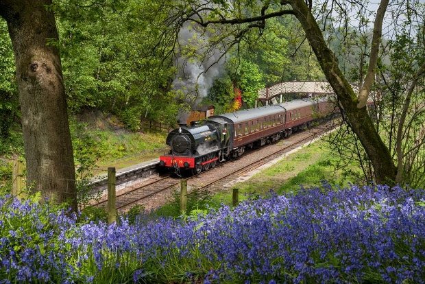 Easter Steam Trains | Data Thistle