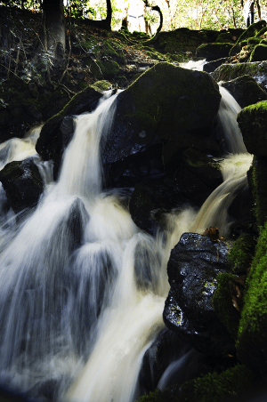 Cwf23 Walk 35 - The Wye Valley And Cleddon Falls | Data Thistle