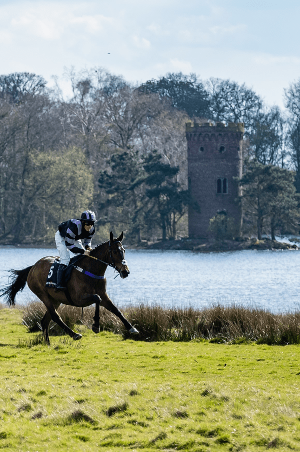 Tabley Races Standard | Data Thistle