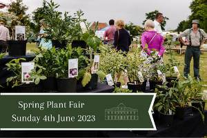 Spring Plant Fair | Data Thistle