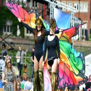 Welshstock Festival | Data Thistle