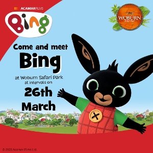 Meet Bing at Woburn Safari Park | Data Thistle