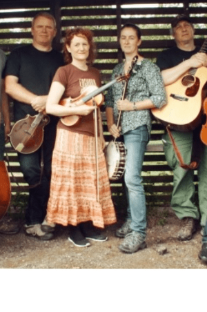 The Firecrackers | Data Thistle