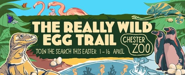 The Really Wild Egg Trail at Chester Zoo | Data Thistle