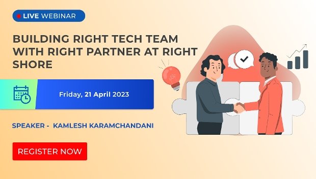 Building the Right Tech Team with the Right Partners | Data Thistle