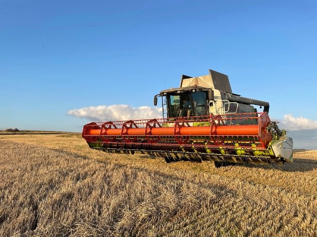 Farming for Food – Growing Bread | Data Thistle