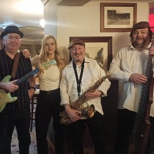 Blue Cat Band | Data Thistle