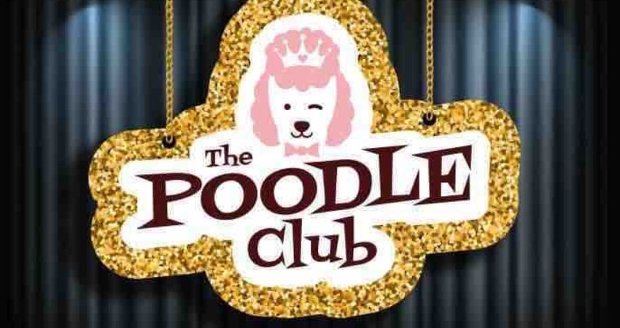 Friday Night Comedy With Susan Murray & Friends | Data Thistle