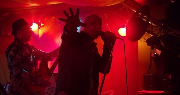 Stipe ' Authentic Sounding Rem Tribute | Data Thistle