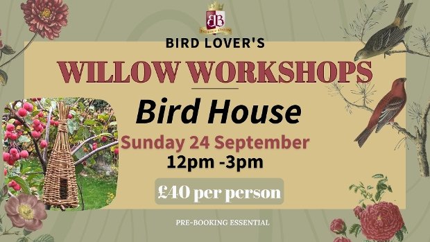 Bird Lover's Willow Workshop - Bird House | Data Thistle