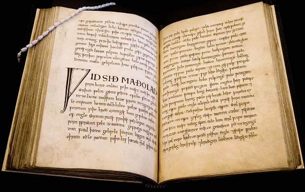 In the Library with The Exeter Book | Data Thistle