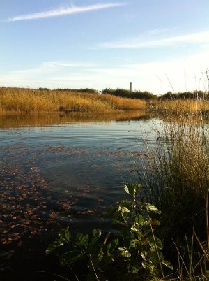 Pleasley Pit Coal Mining Museum (Pit Lane, Pleasley)