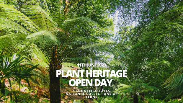 Fern Day & Plant Sales | Data Thistle