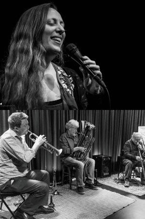 Hard Edges Plus Brigitte Beraha, voice | Data Thistle