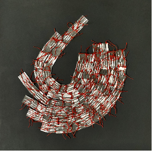 Pushing Paper - Presented by BobCat Gallery | Data Thistle