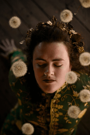 Kate Young: Umbelliferæ | Data Thistle