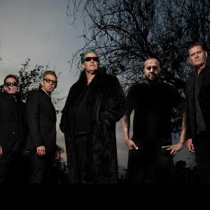 T.S.O.L | Data Thistle