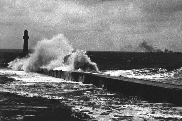 Our changing landscape | Data Thistle