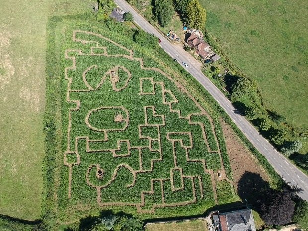 Maize Maze 2023 @ Blackmarsh Farm | Data Thistle