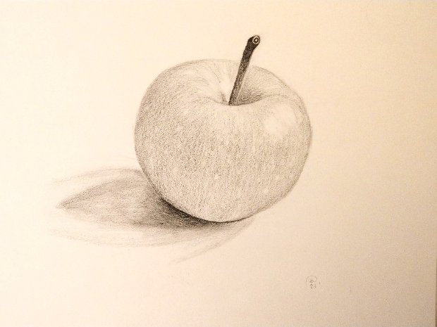 Short Course: Beginners Drawing Part 1 | Data Thistle