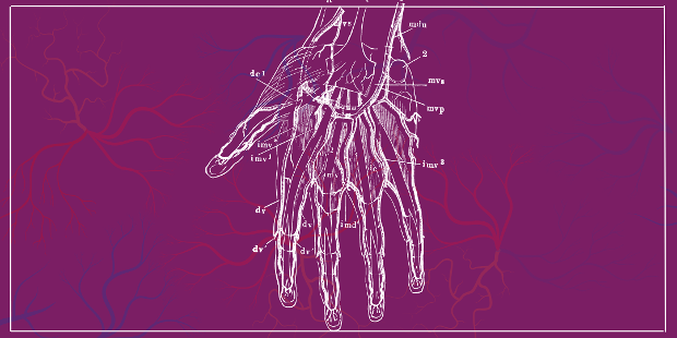 The Art of Injection: Tracing Anatomy Online Talk | Data Thistle