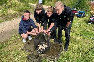 Let's Fish | Data Thistle