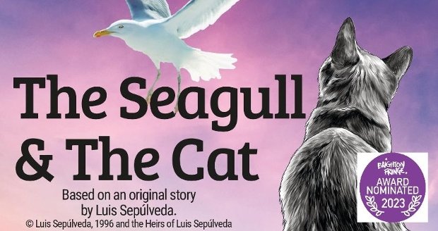 The Seagull And The Cat - How Zorba The Cat Taught A Little Seagull To ...