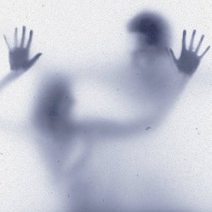 Insanium | Data Thistle