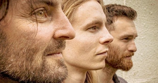 Tarren | Data Thistle