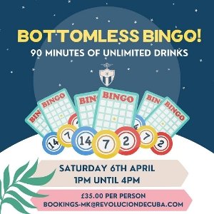 Bottomless Bingo | Data Thistle