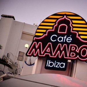 30 Years of Cafe Mambo Festival | Data Thistle