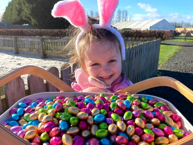 Conifox Easter Festival | Data Thistle