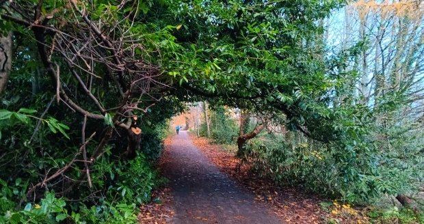 Paul Vickers + The Leg/cod O'donnell + The Cryptids/puppet Midnight ...