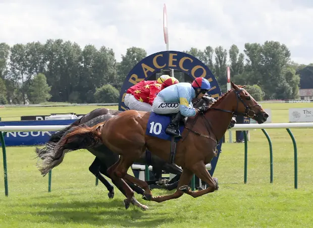 Ayr Racecourse (2–6 Whitletts Road, Ayr)