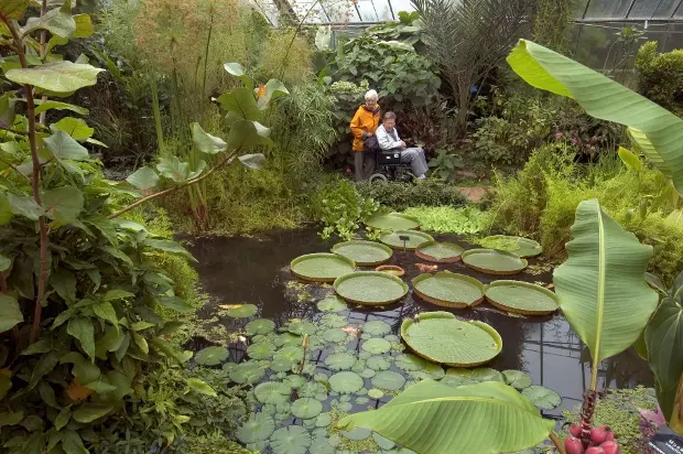 University of Dundee Botanic Garden (Riverside Drive, Dundee)