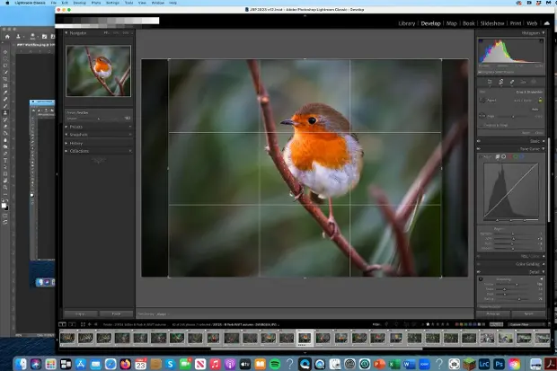 Photography in Nature: Workflow and Review | Data Thistle