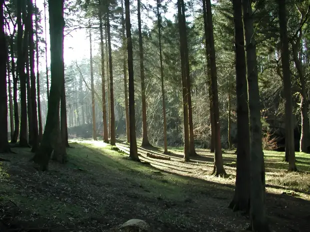 Dean Castle Country Park (Dean Road, Kilmarnock)