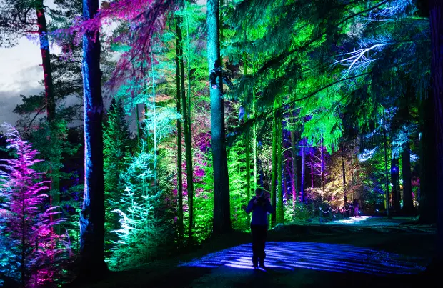 The Enchanted Forest at Faskally, Pitlochry