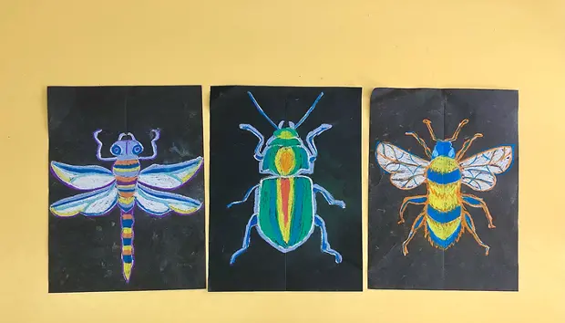 Art for All : Colourful Bug Portraits (6yrs+) | Data Thistle