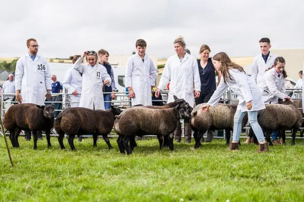 Turriff Show 2025 | Data Thistle