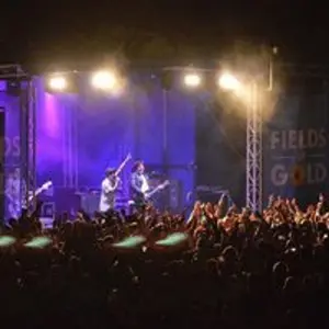 Fields of Gold Festival 2025 | Data Thistle