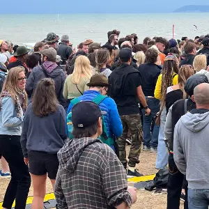 Hidden Beach Festival 2025 | Data Thistle