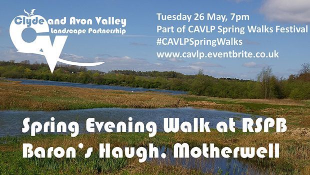 CAVLP Spring Walks: Spring Evening Walk at RSPB Baron's Haugh | Data ...