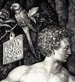 Dürer's Fame - Edinburgh Art Festival