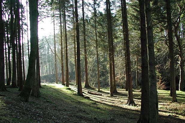 Dean Castle Country Park (Dean Road, Kilmarnock)