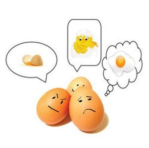 An Eggcellent Adventure Data Thistle