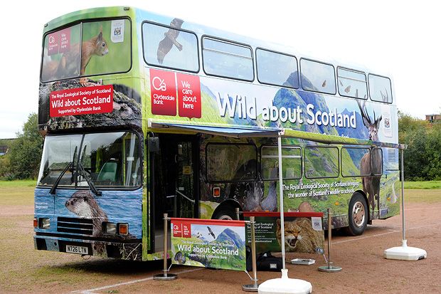 Wild about Scotland Bus | Data Thistle